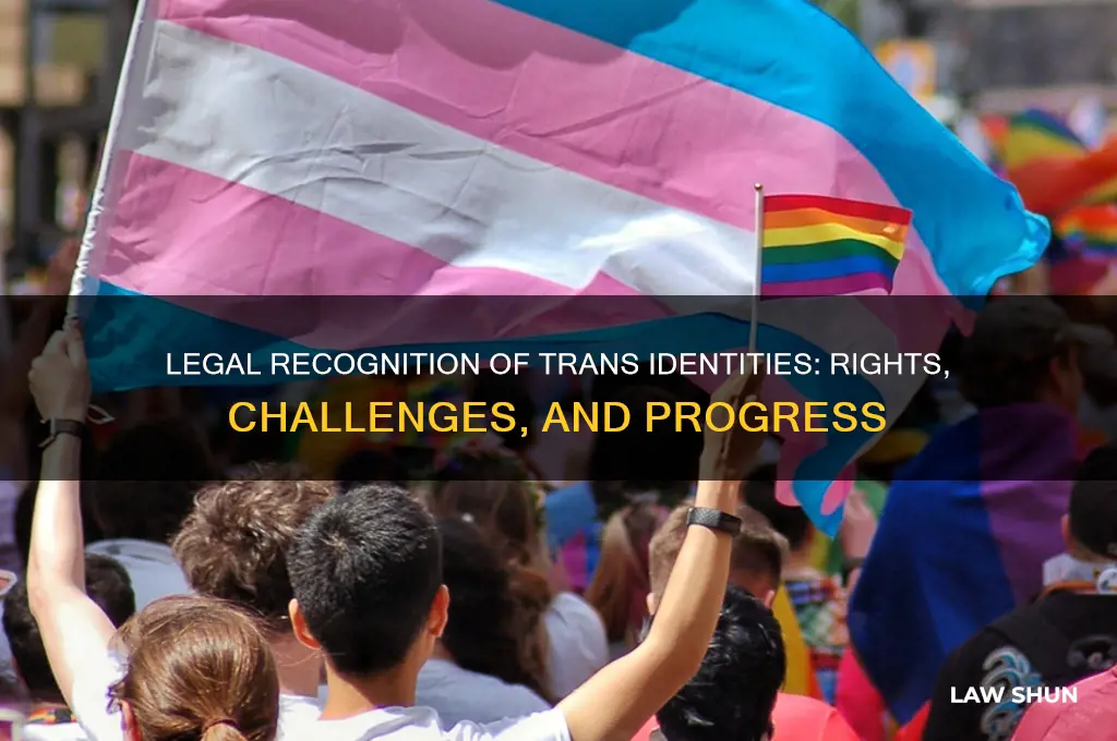 Legal Recognition Of Trans Identities: Rights, Challenges, And Progress ...