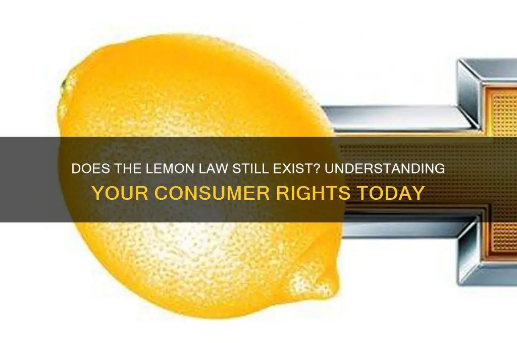 Does The Lemon Law Still Exist? Understanding Your Consumer Rights ...