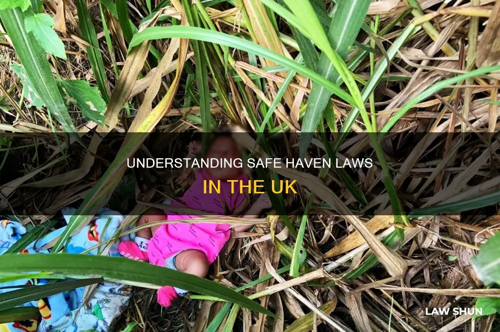 Understanding Safe Haven Laws In The Uk | LawShun