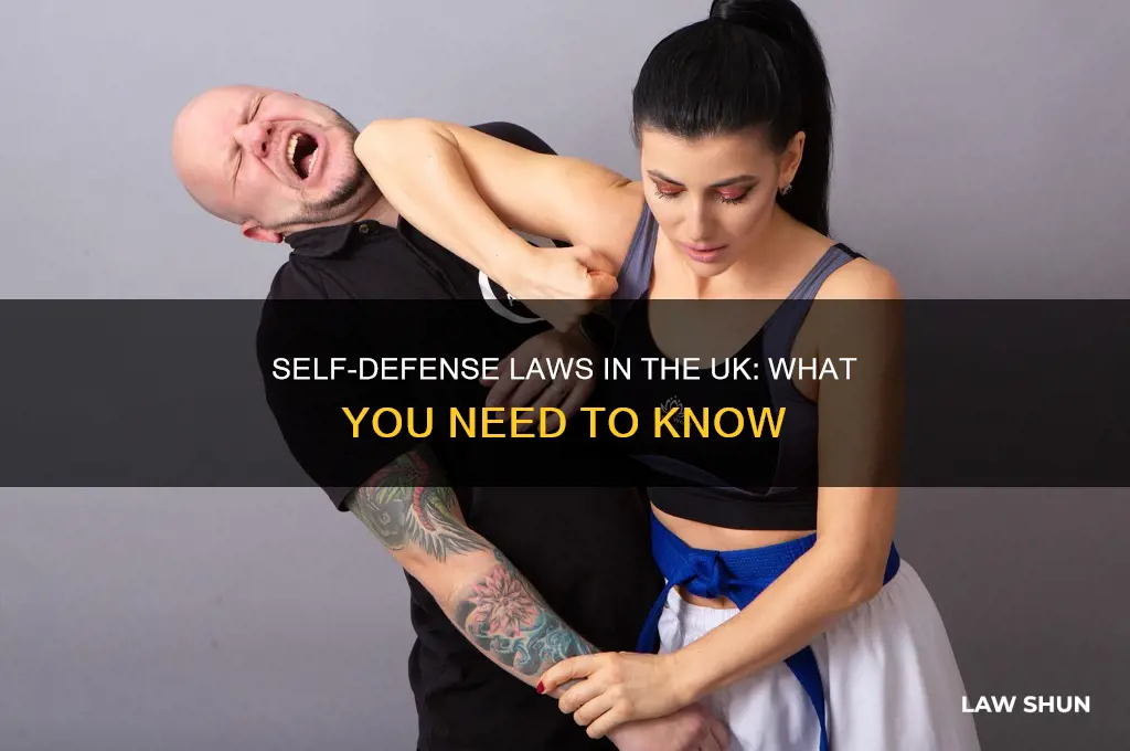 Self-Defense Laws In The Uk: What You Need To Know | LawShun