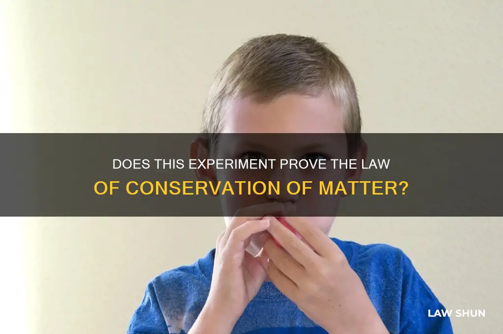 Does This Experiment Prove The Law Of Conservation Of Matter? | LawShun