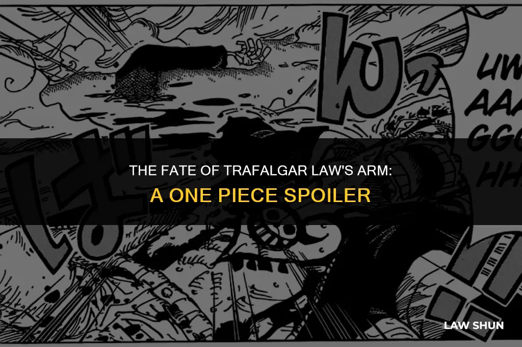 The Fate Of Trafalgar Law's Arm: A One Piece Spoiler | LawShun