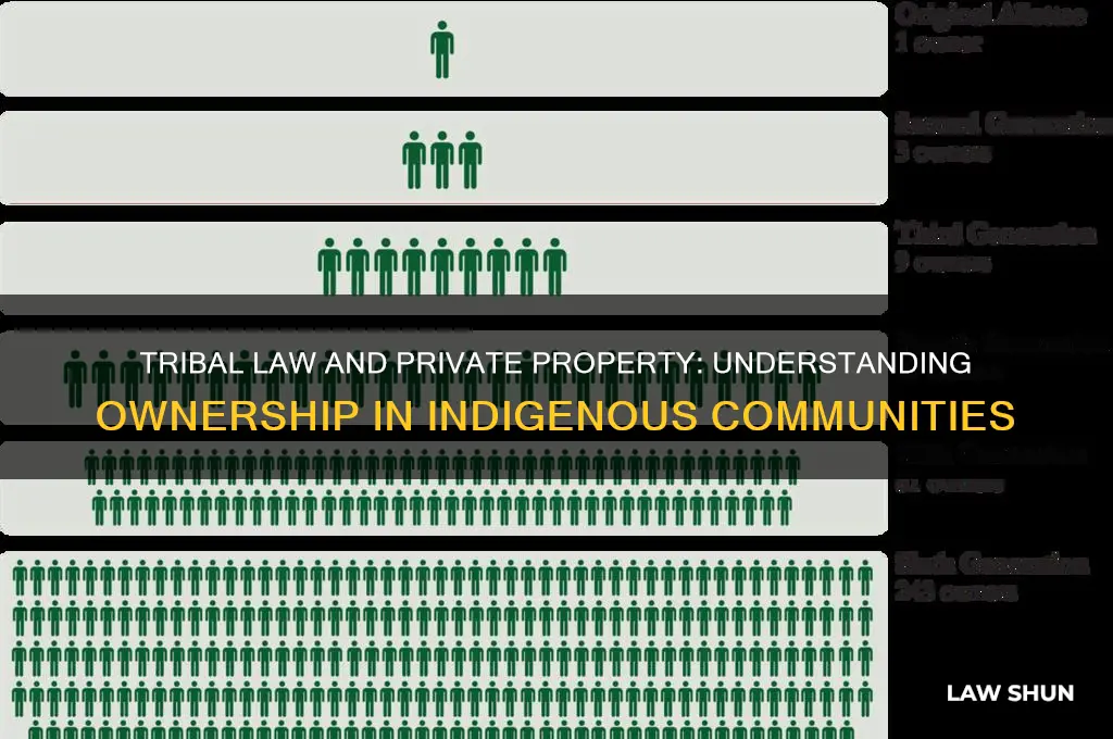 Tribal Law And Private Property: Understanding Ownership In Indigenous ...