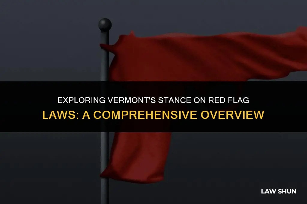 Exploring Vermont's Stance On Red Flag Laws: A Comprehensive Overview ...