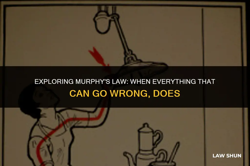 Exploring Murphy's Law: When Everything That Can Go Wrong, Does | LawShun