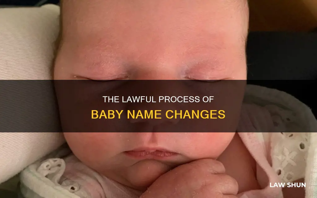 The Lawful Process Of Baby Name Changes | LawShun