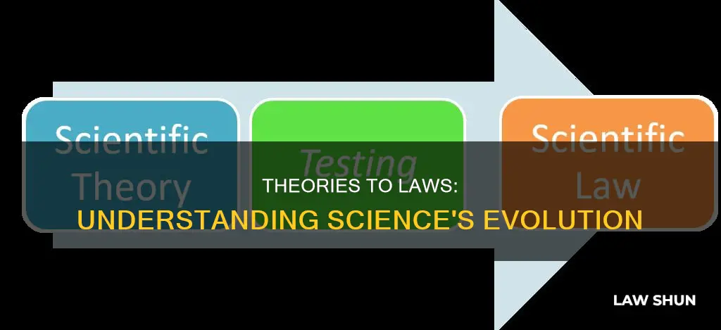Theories To Laws: Understanding Science's Evolution | LawShun