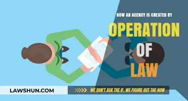 The Law-Making Process In A Democracy | LawShun