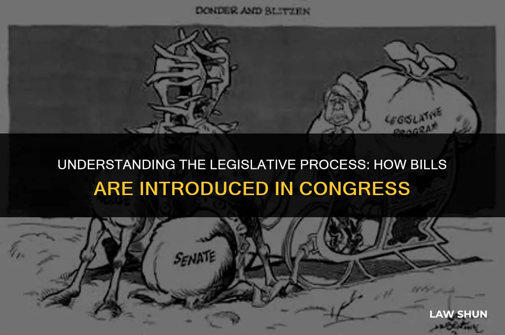 Understanding The Legislative Process: How Bills Are Introduced In ...