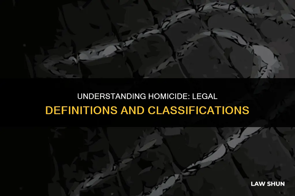 Understanding Homicide: Legal Definitions And Classifications | LawShun