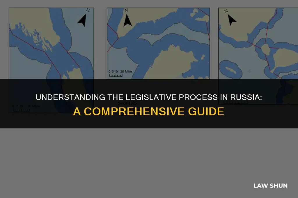 Understanding The Legislative Process In Russia: A Comprehensive Guide ...