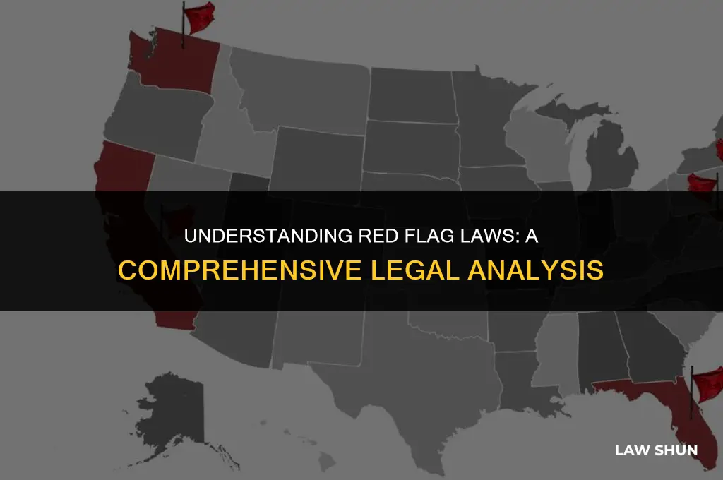 Understanding Red Flag Laws: A Comprehensive Legal Analysis | LawShun