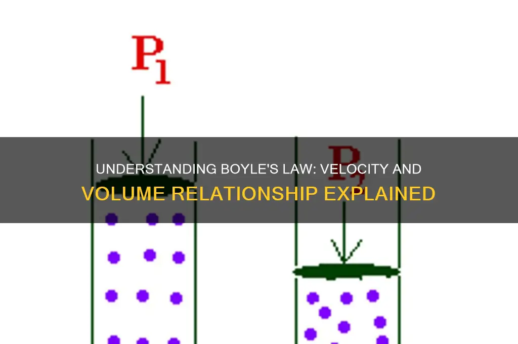 Understanding Boyle's Law: Velocity And Volume Relationship Explained ...