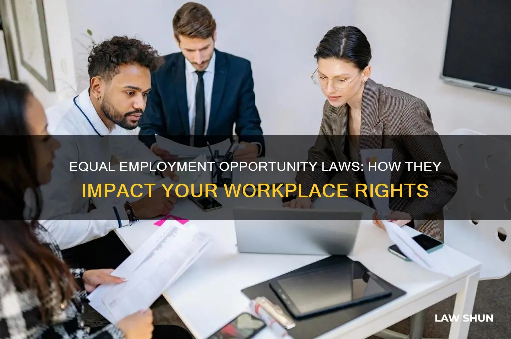 Equal Employment Opportunity Laws: How They Impact Your Workplace ...