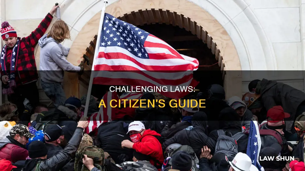 Challenging Laws: A Citizen's Guide | LawShun