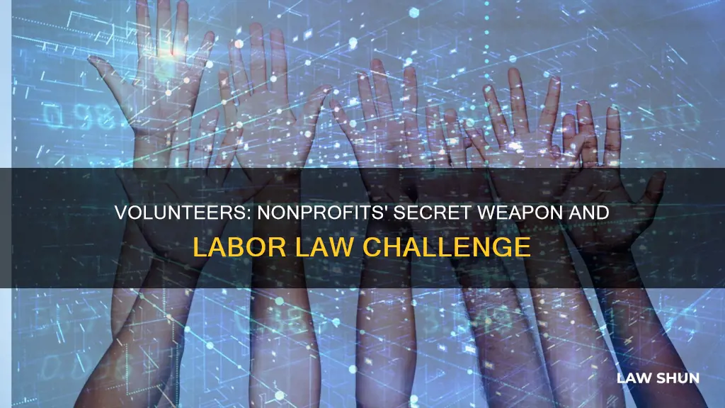 Volunteers: Nonprofits' Secret Weapon And Labor Law Challenge | LawShun