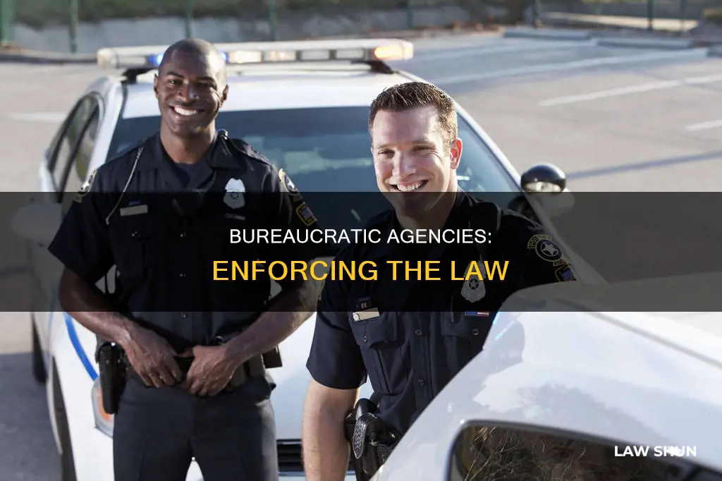 Bureaucratic Agencies: Enforcing The Law | LawShun