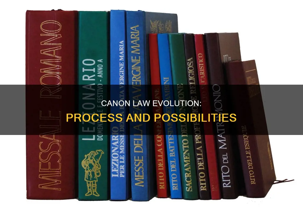 Canon Law Evolution: Process And Possibilities | LawShun