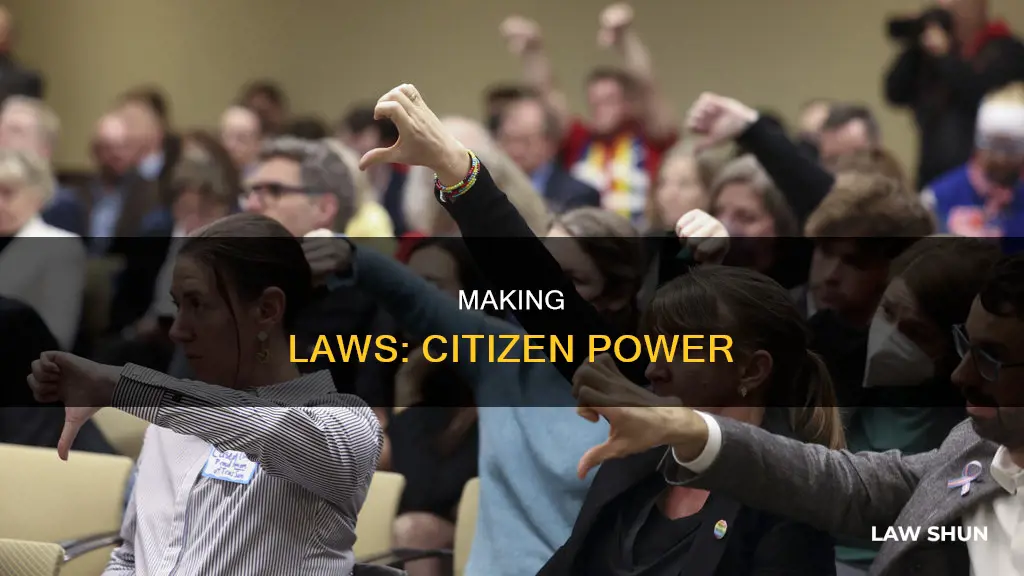 Making Laws: Citizen Power | LawShun