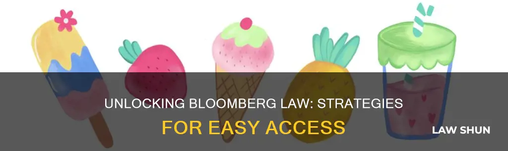 Unlocking Bloomberg Law: Strategies For Easy Access | LawShun