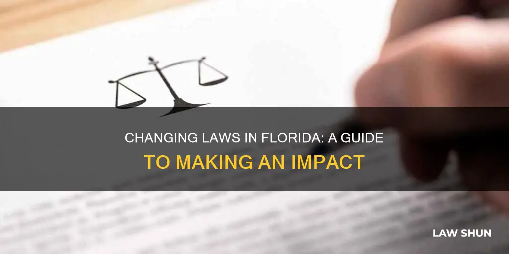 Changing Laws In Florida: A Guide To Making An Impact | LawShun