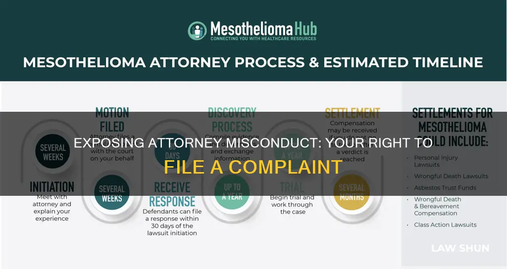 Exposing Attorney Misconduct: Your Right To File A Complaint | LawShun