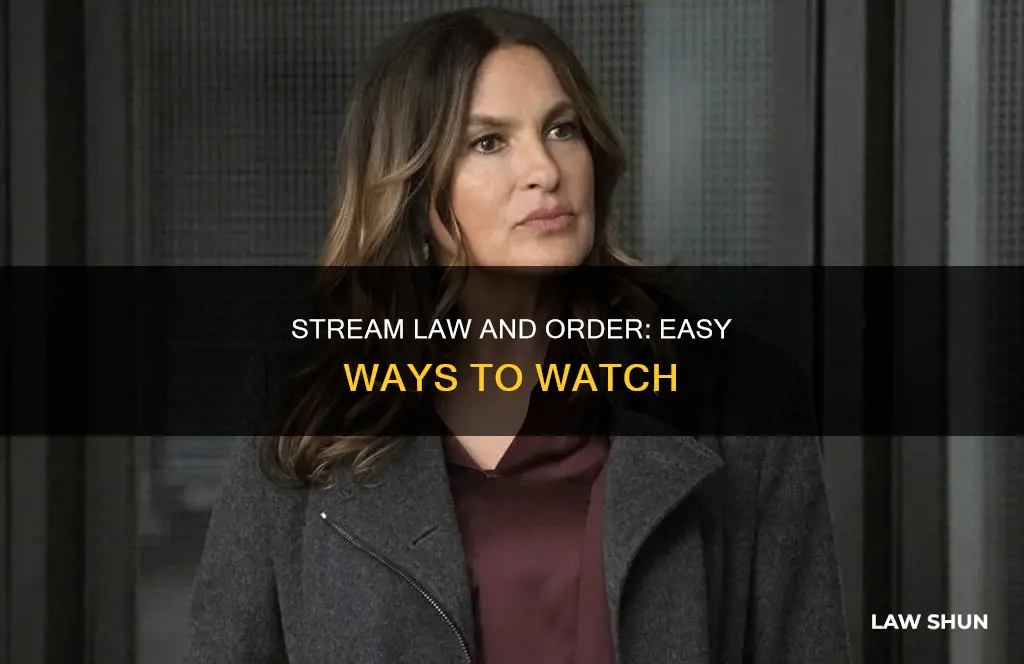 Stream Law And Order: Easy Ways To Watch | LawShun