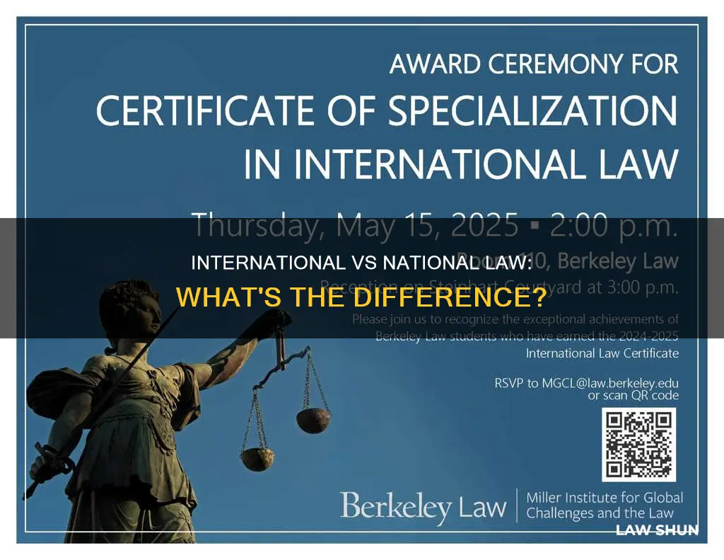 International Vs National Law: What's The Difference? | LawShun