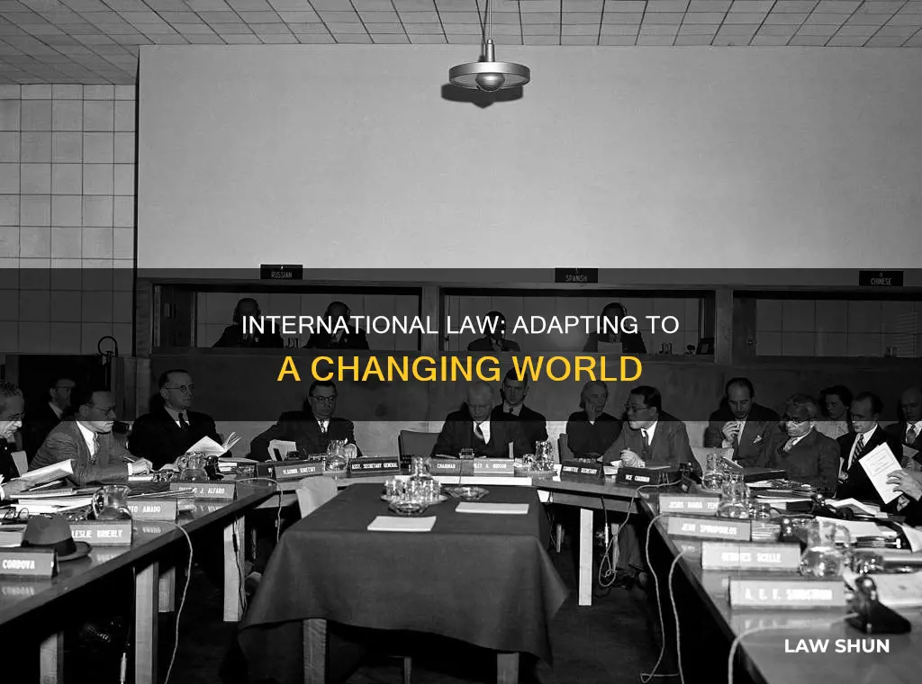 International Law: Adapting To A Changing World | LawShun