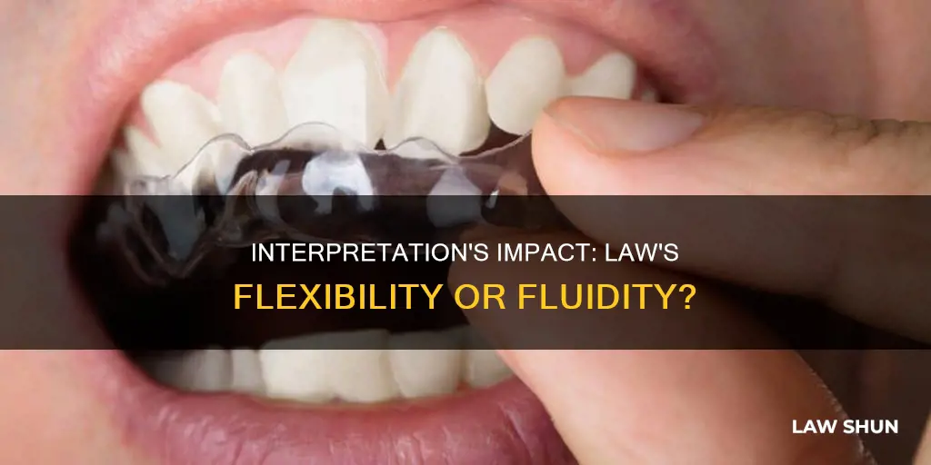 Interpretation's Impact: Law's Flexibility Or Fluidity? | LawShun