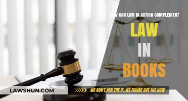 Enforcing Laws: Strategies And Challenges | LawShun