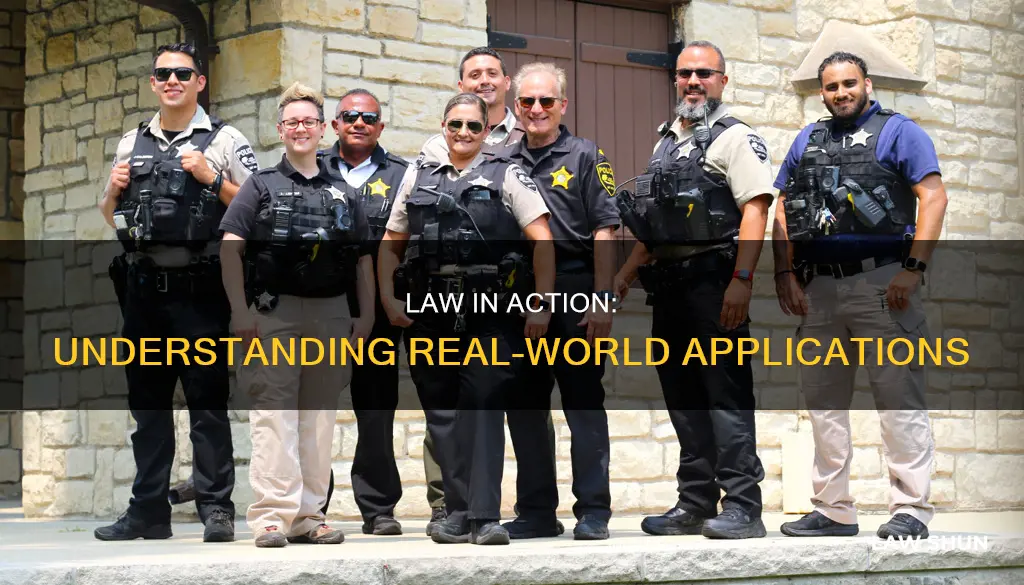Law In Action: Understanding Real-World Applications | LawShun