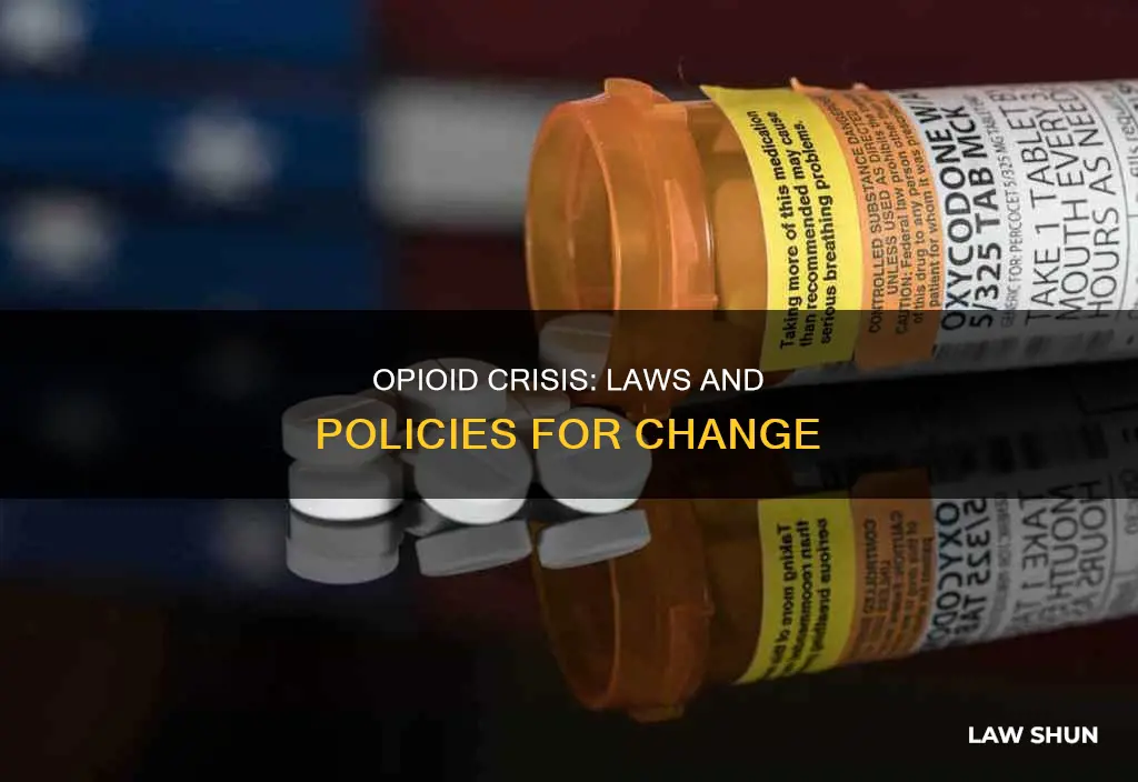 Opioid Crisis: Laws And Policies For Change | LawShun