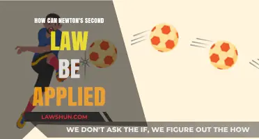 Newton's Third Law: Understanding Car Crash Dynamics | LawShun