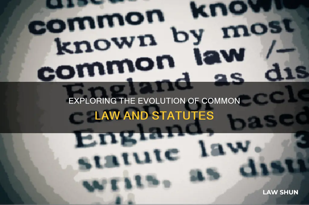 Exploring The Evolution Of Common Law And Statutes | LawShun