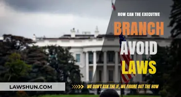 Executive Branch: Overriding Laws And Its Limits | LawShun
