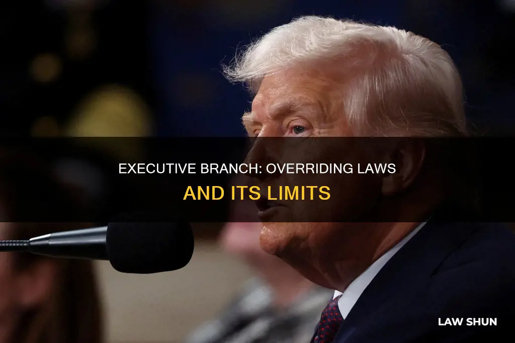 Executive Branch: Overriding Laws And Its Limits | LawShun