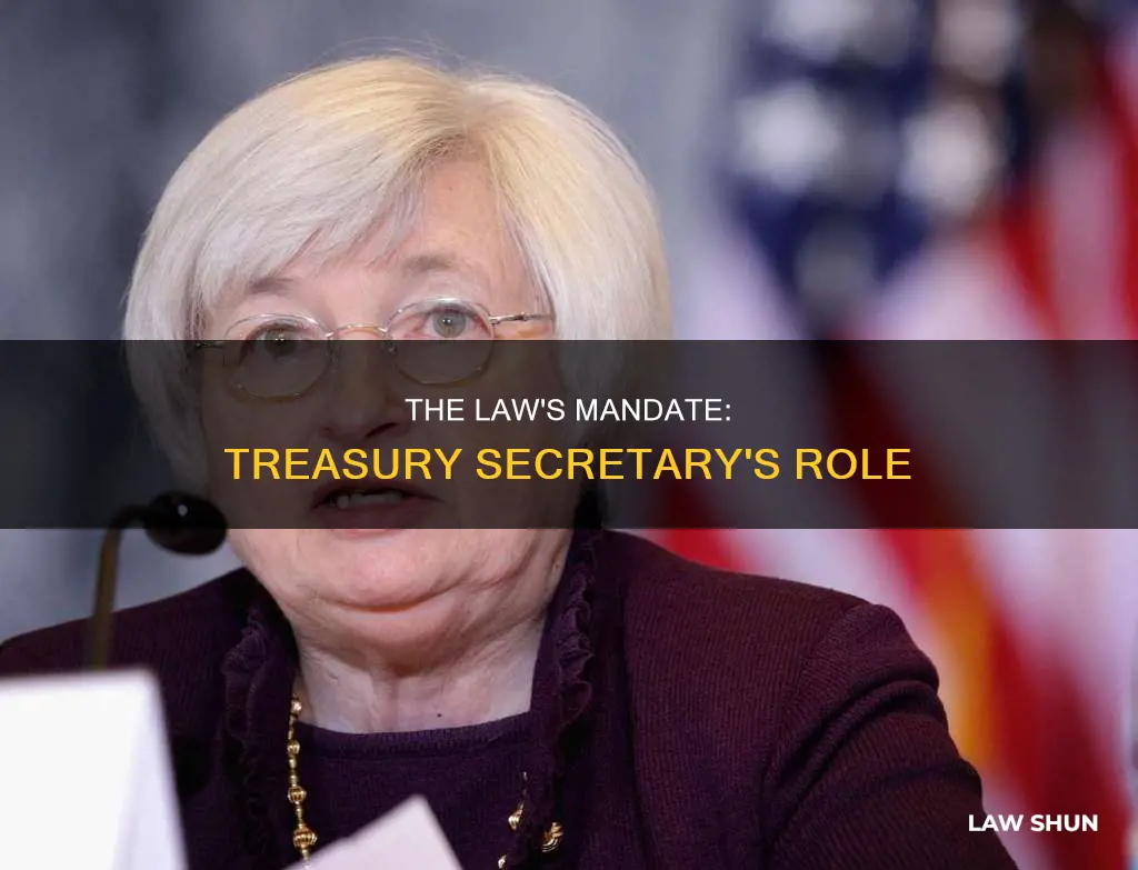 The Law's Mandate: Treasury Secretary's Role | LawShun