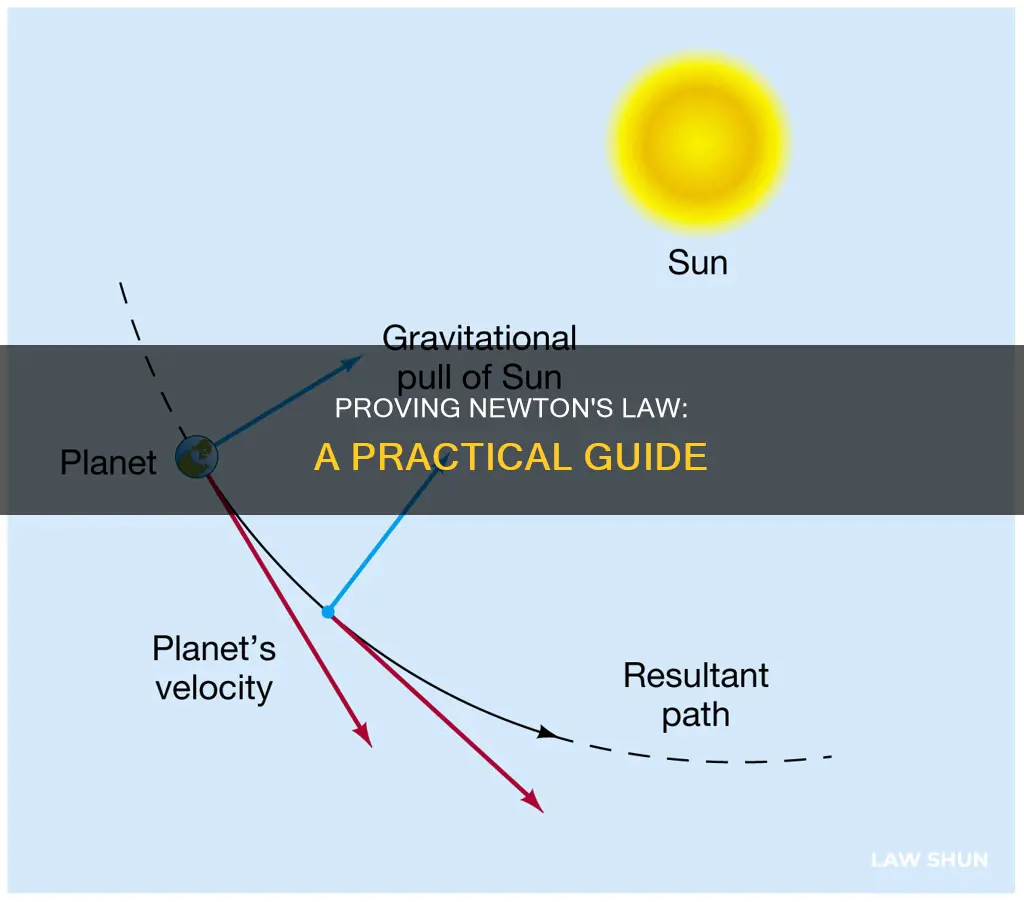 Proving Newton's Law: A Practical Guide | LawShun