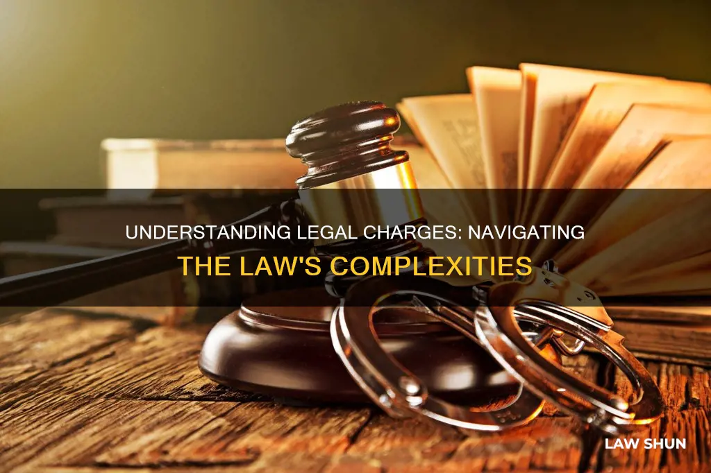 Understanding Legal Charges: Navigating The Law's Complexities | LawShun