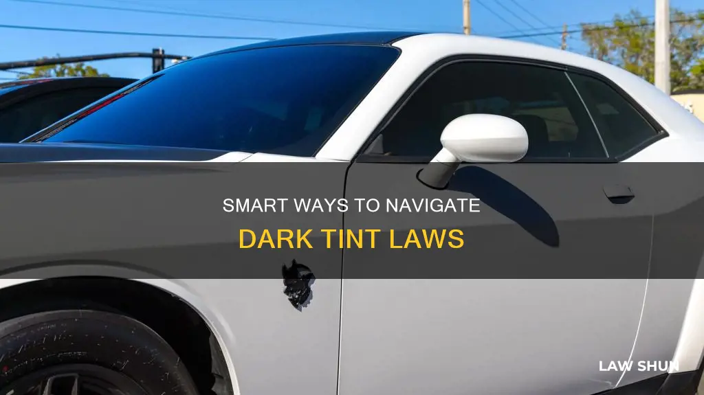 Smart Ways To Navigate Dark Tint Laws | LawShun