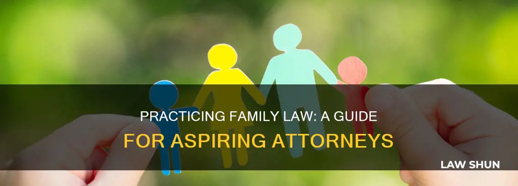 Practicing Family Law: A Guide For Aspiring Attorneys | LawShun
