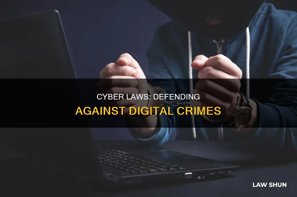 Cyber Laws: Defending Against Digital Crimes | LawShun