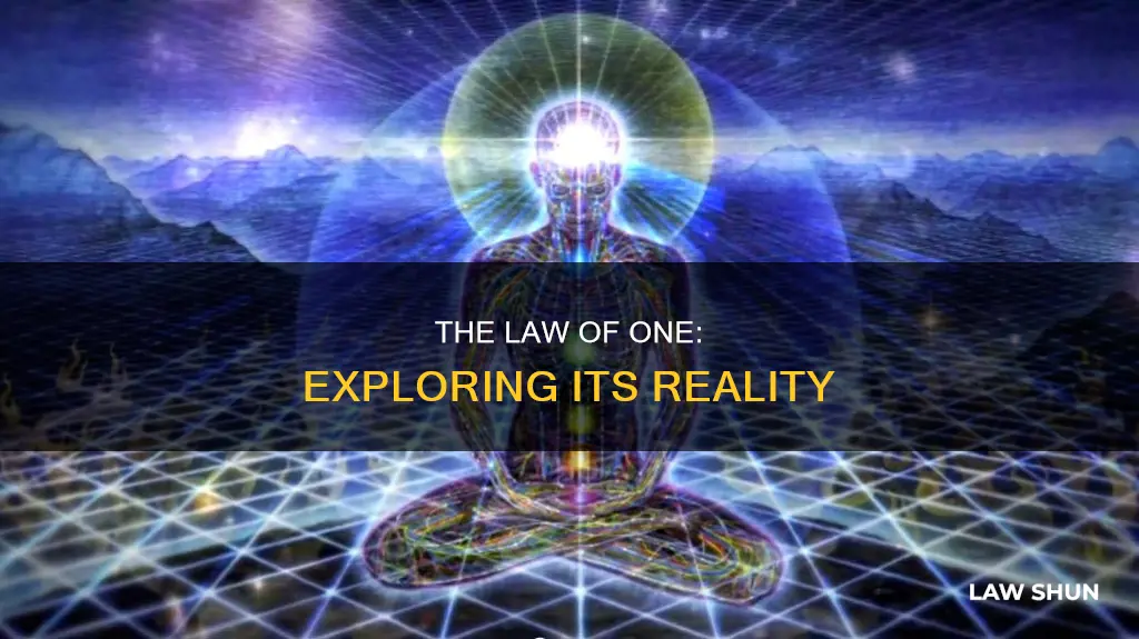 The Law Of One: Exploring Its Reality | LawShun