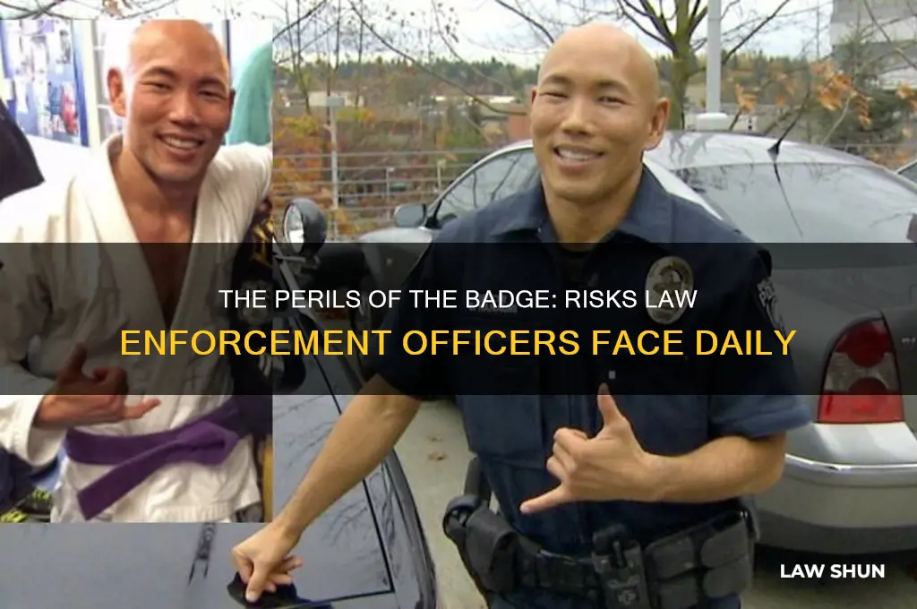 The Perils Of The Badge: Risks Law Enforcement Officers Face Daily ...