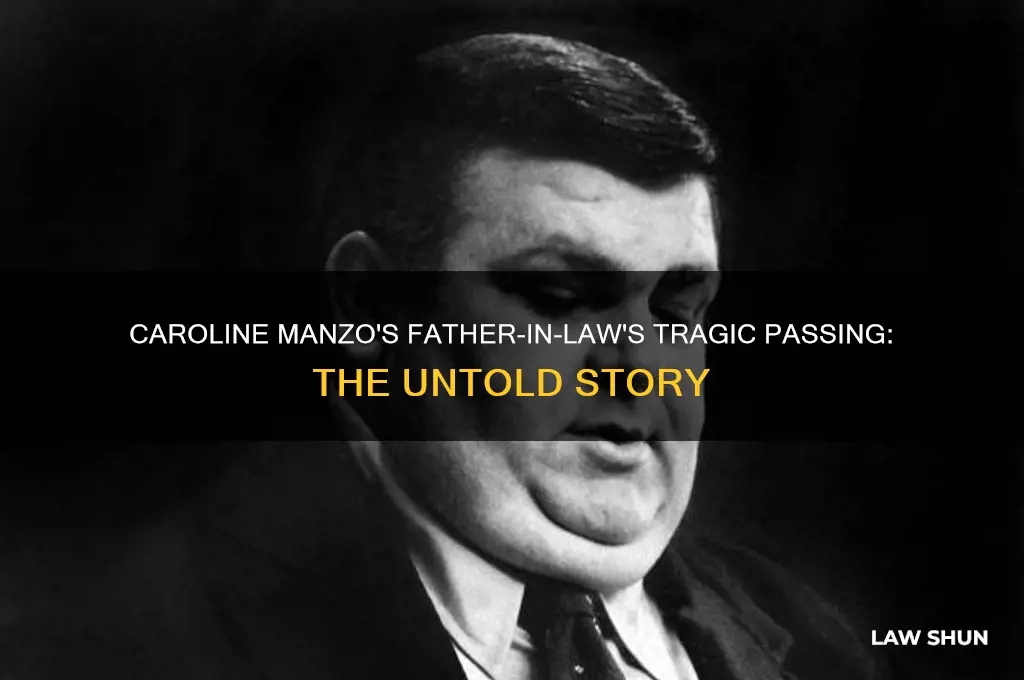 Caroline Manzo's Father-In-Law's Tragic Passing: The Untold Story | LawShun