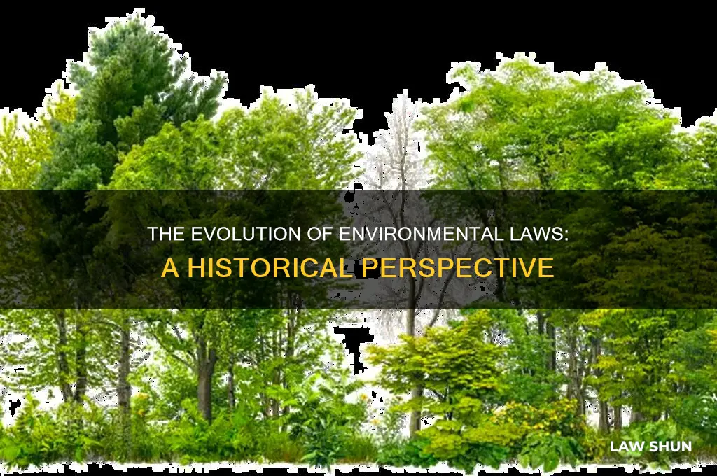 The Evolution Of Environmental Laws: A Historical Perspective | LawShun