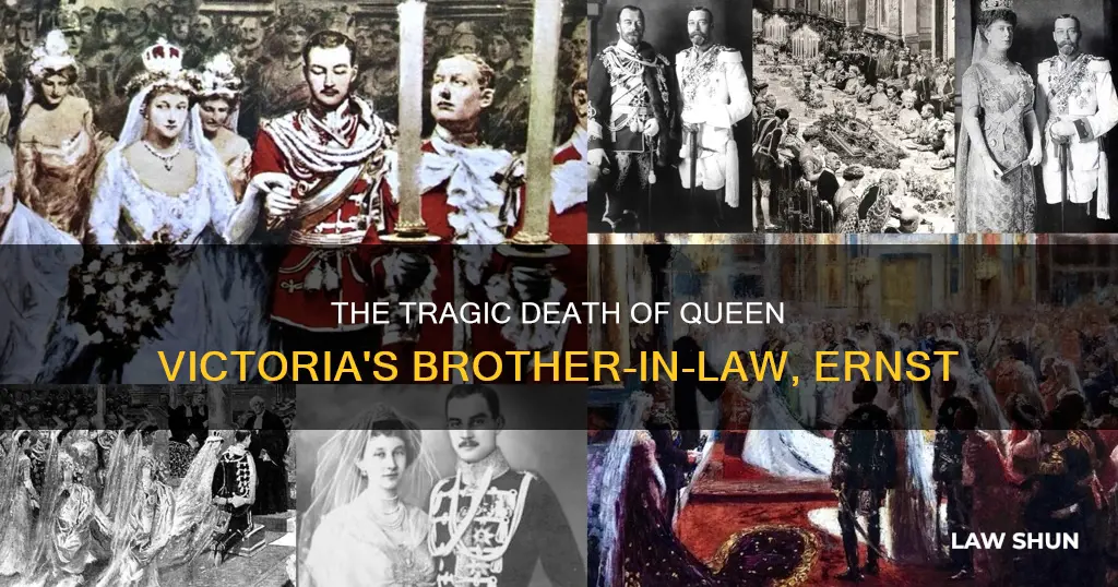 The Tragic Death Of Queen Victoria's Brother-In-Law, Ernst | LawShun