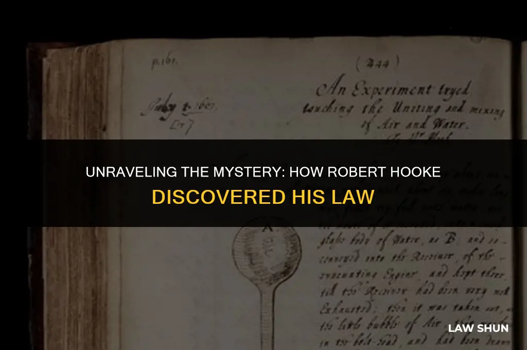 Unraveling The Mystery: How Robert Hooke Discovered His Law | LawShun