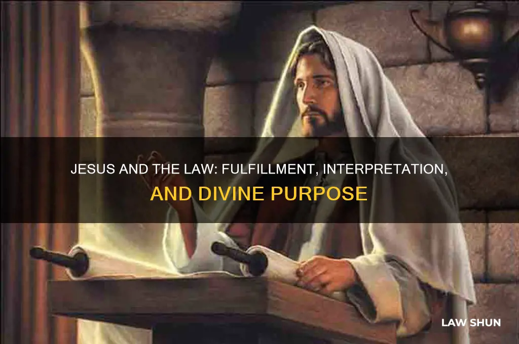 Jesus And The Law: Fulfillment, Interpretation, And Divine Purpose ...